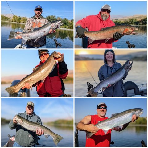 Steelhead Fishing Report - Columbia, Clearwater & Snake Rivers