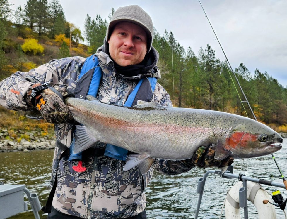 Steelhead Fishing Report - Columbia, Clearwater & Snake Rivers